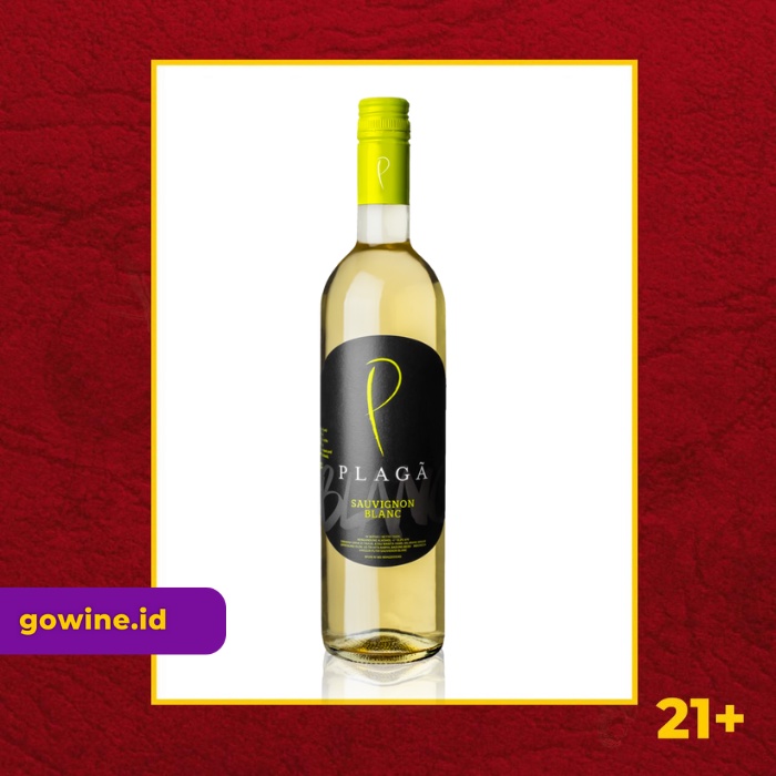 Jual Plaga Wine Sauvignon Blanc White Wine 750ml | Shopee Indonesia