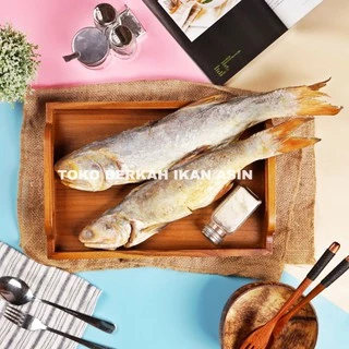 Jual Ikan Kuro Terlengkap & Harga Terbaru Juli 2024 | Shopee Indonesia
