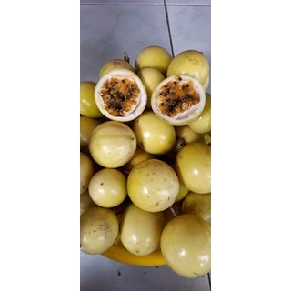 Jual Buah Markisa Terlengkap & Harga Terbaru Juli 2024 | Shopee Indonesia