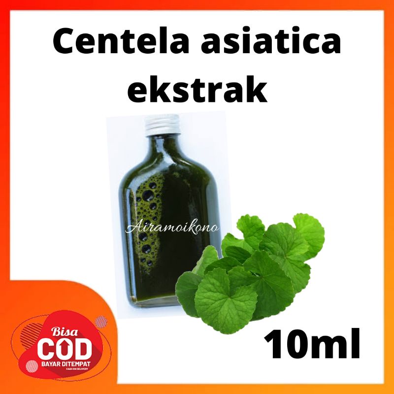 Jual CENTELLA ASIATICA / DAUN PEGAGAN /GOTU KOLA EKSTRAK 10ML | Shopee ...