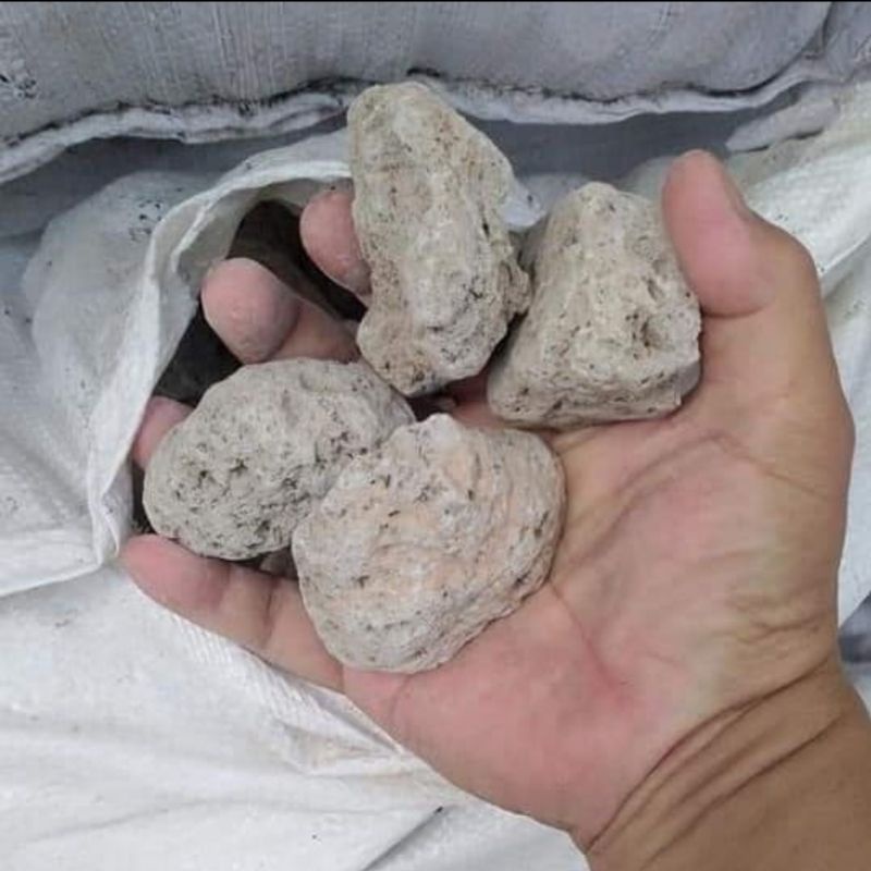 Jual BATU APUNG / PUMICE STONE 1 KG | Shopee Indonesia