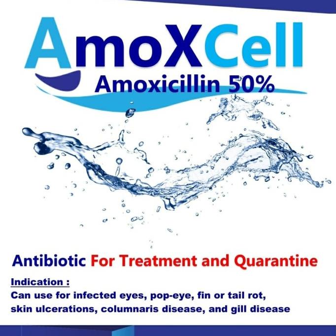 Jual TERJAMIN AmoXCell 1 Box @ 100 gram x 10 pcs (Antibiotik dan ...