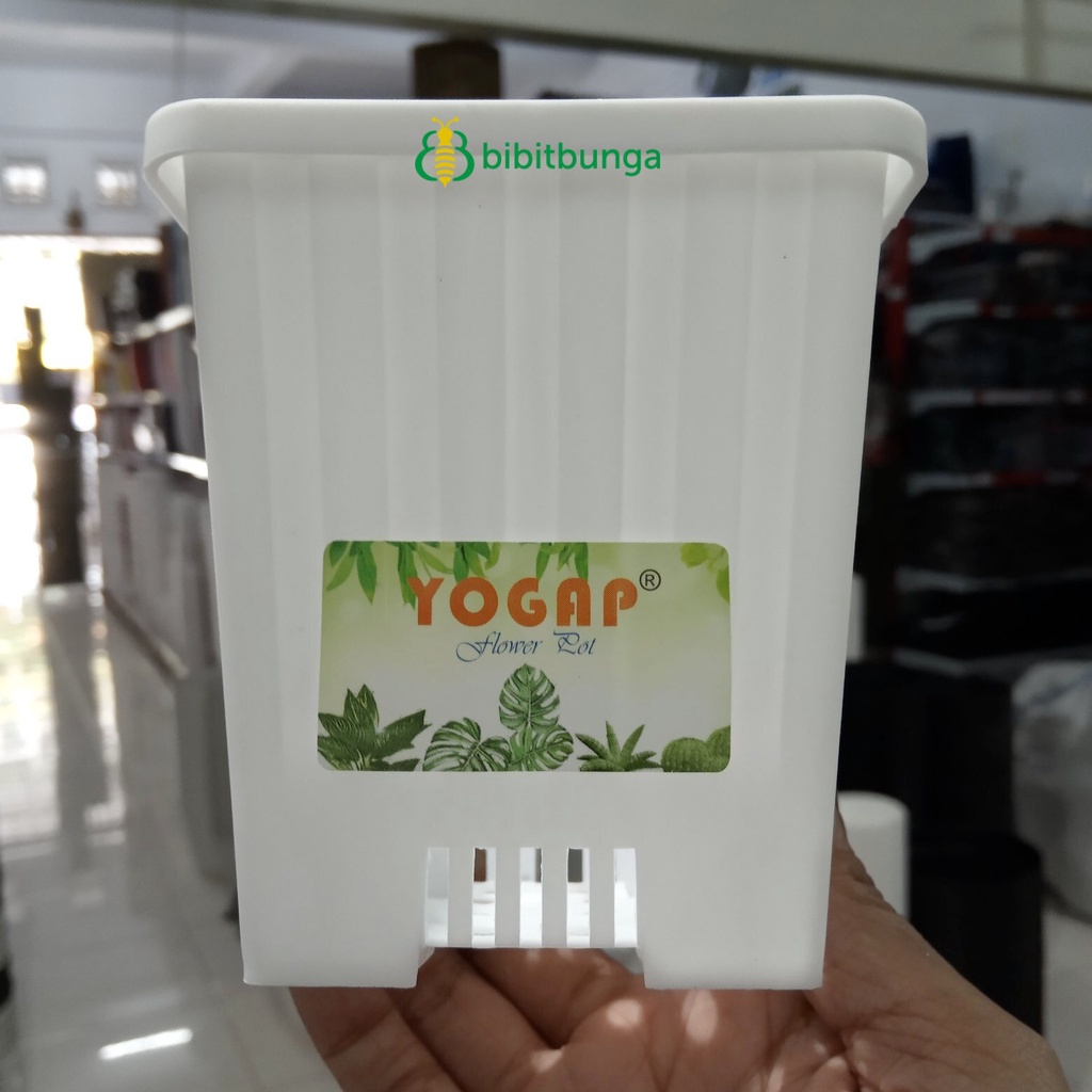 Jual Pot Bunga Tinggi Yogap Kotak 8 Putih Tanaman Hias Persegi Segi ...