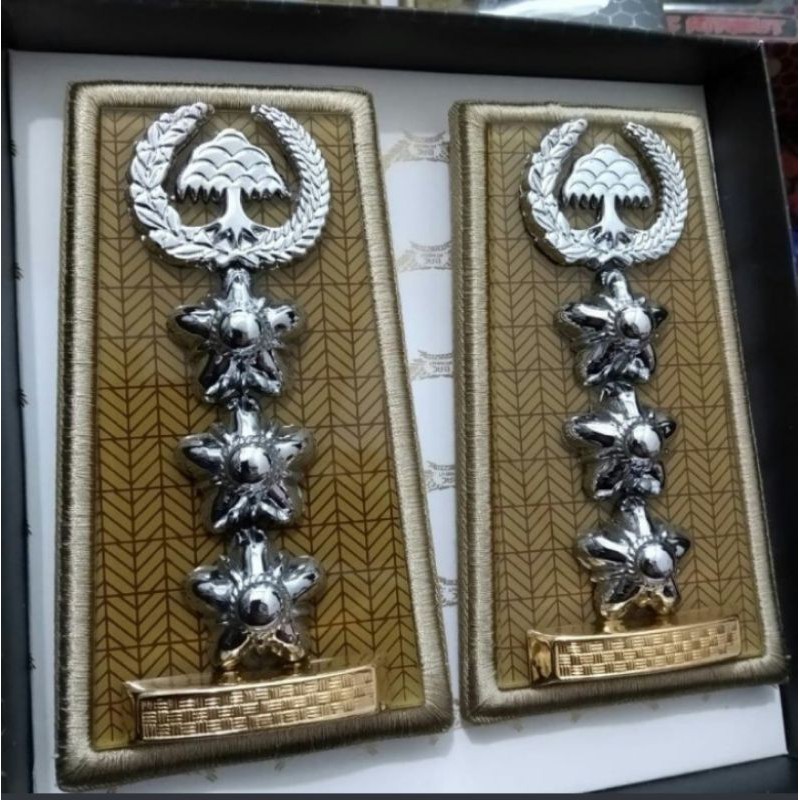 Jual Exclusive Pangkat PNS Gol 2D Dasar Akrilik Logam Kuningan | Shopee ...