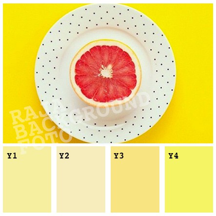 Jual ALAS/BACKGROUND FOTO polos warna KUNING/YELLOW 50x100cm (ORIGINAL ...