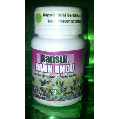 Jual KAPSUL DAUN UNGU / Demung / Tulak / Wungu (Graptophylum pictum ...