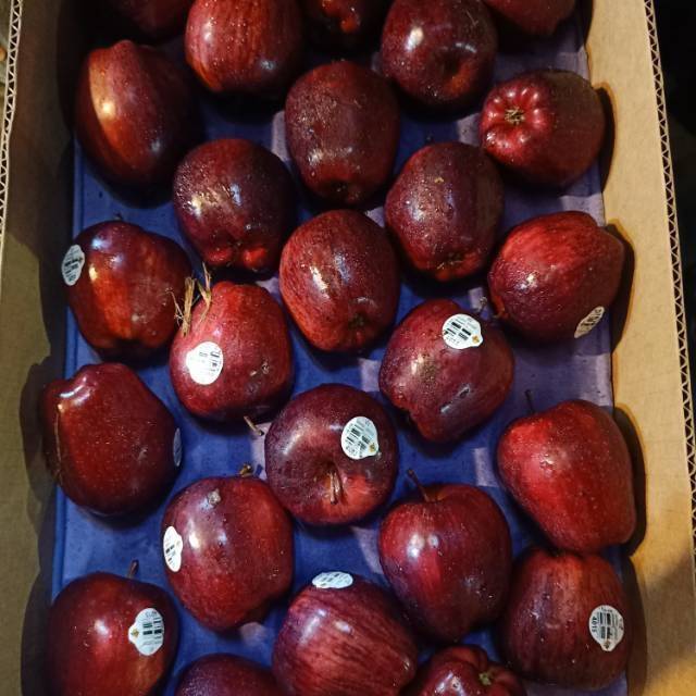 Jual APEL MERAH(RED DELICIOUS)/1KG | Shopee Indonesia