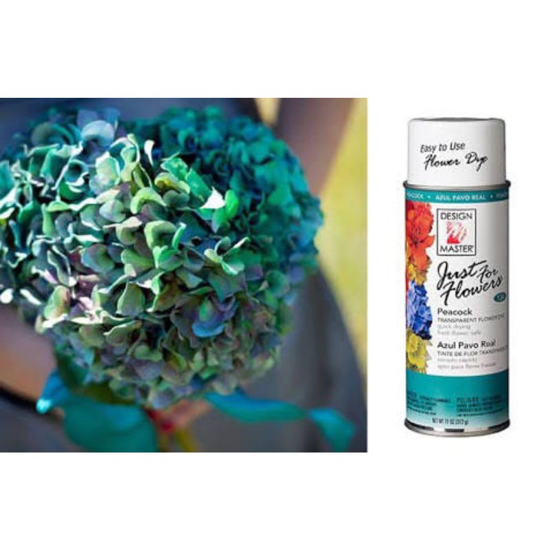 Jual design master just for flowers peacock - Pewarna bunga - spray ...