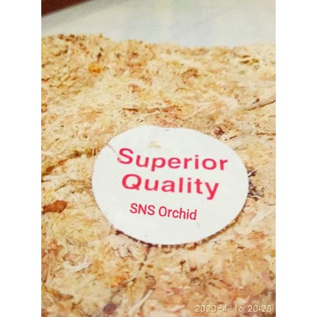 Jual MEDIA TANAM SPAGHNUM MOSS SPHAGNUM MOS SPAGNUM LUMUT PUTIH 200 GR ...