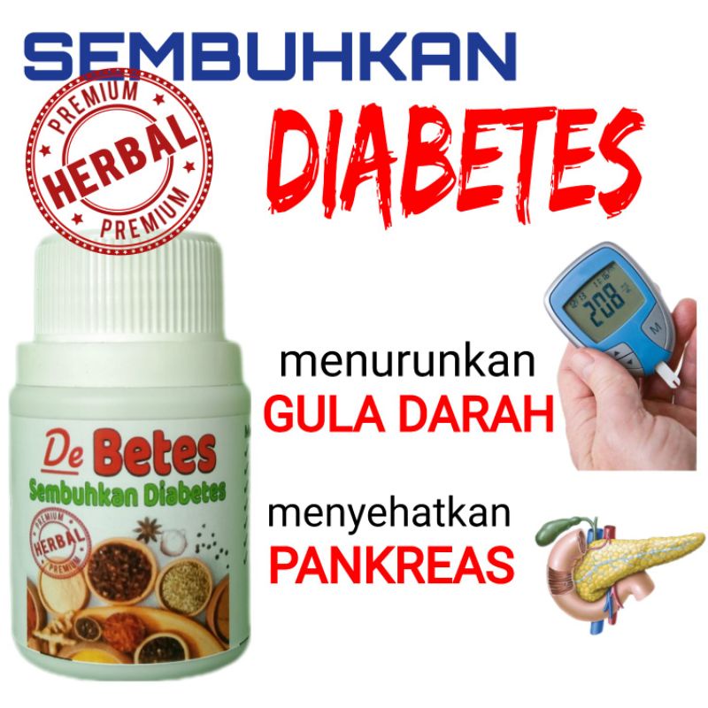 Jual Obat Diabetes Insulin Alami Kencing Manis Perbaiki Pankreas 100% ...