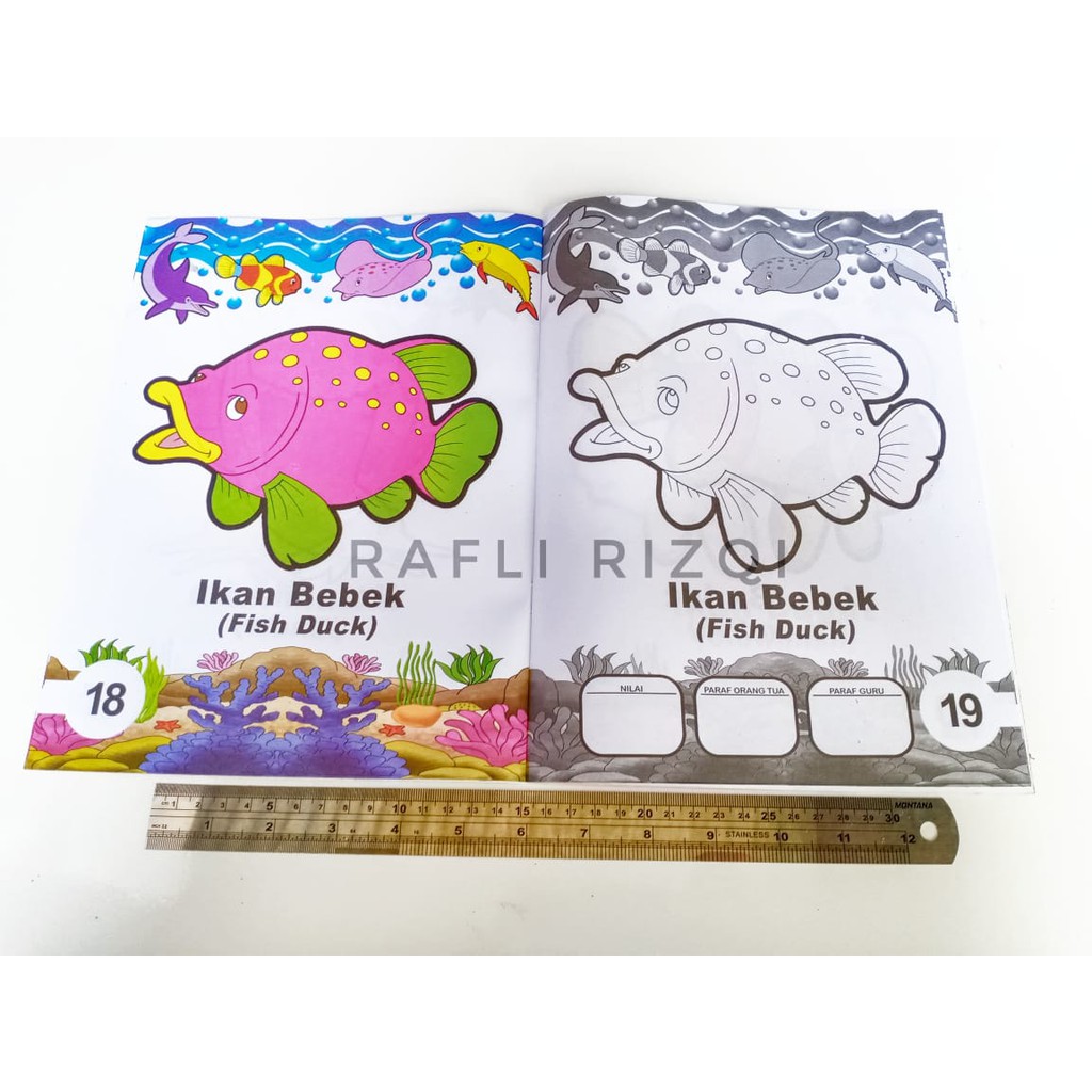 Jual Buku Mewarnai Anak/Buku Mewarnai IKAN Paud Dan TK | Shopee Indonesia