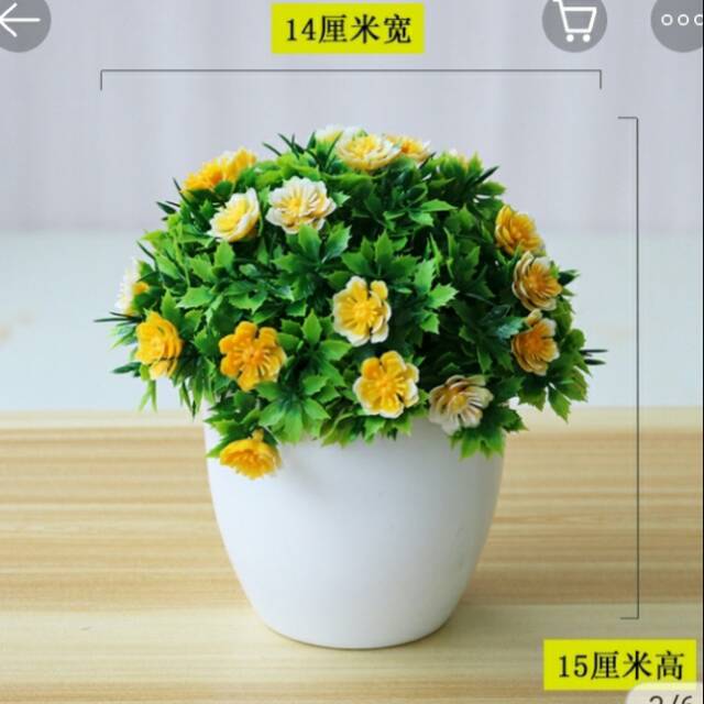 Jual Bunga pot ( hiasan bunga mati ) | Shopee Indonesia