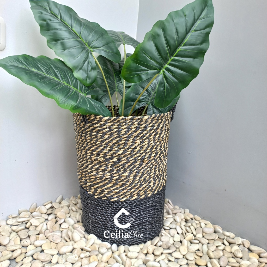 Jual Coverpot tempat tanaman hias teras mini laundry tempat mainan ...