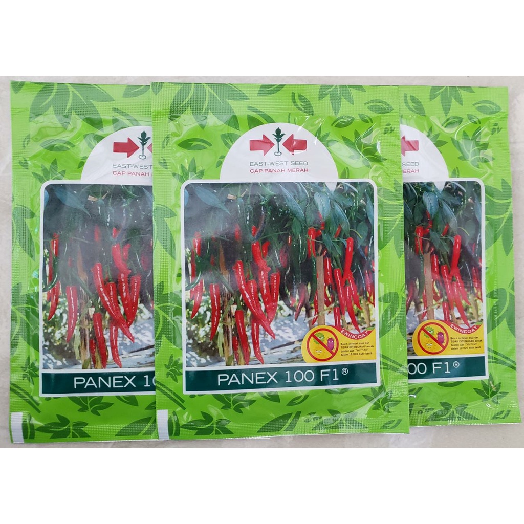 Jual Panex 100 F1 isi 1500 Biji Benih Cabe Besar Panah Merah Baja Beton ...