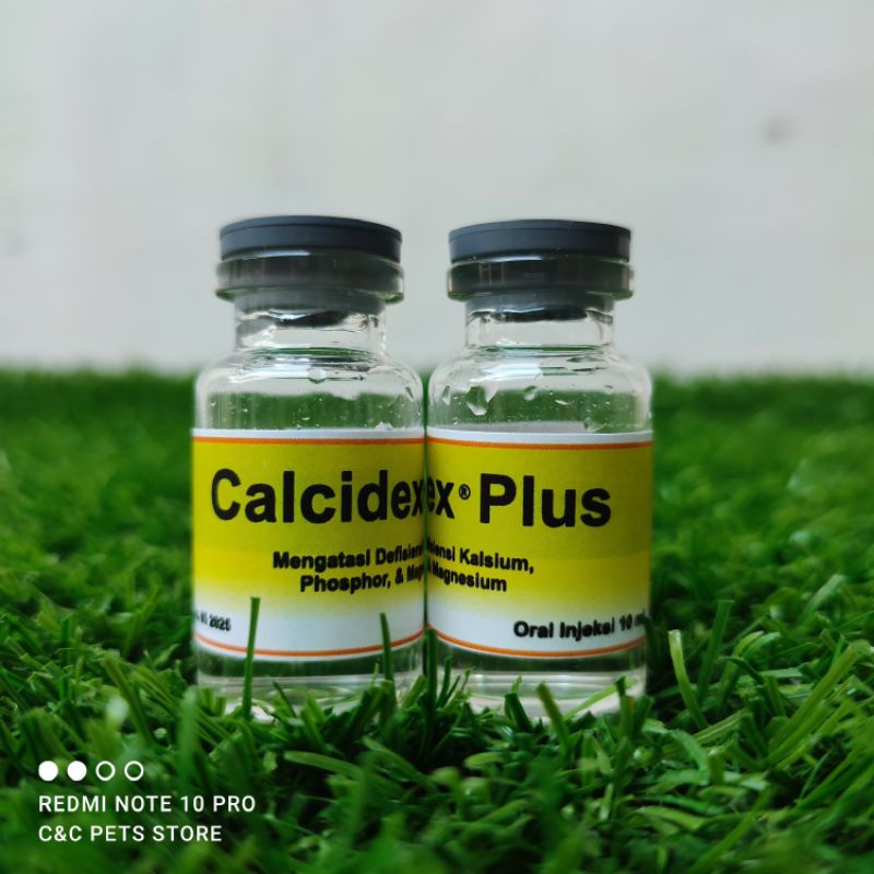 Jual Calcidex Plus Oral Injeksi 10 ml | Shopee Indonesia