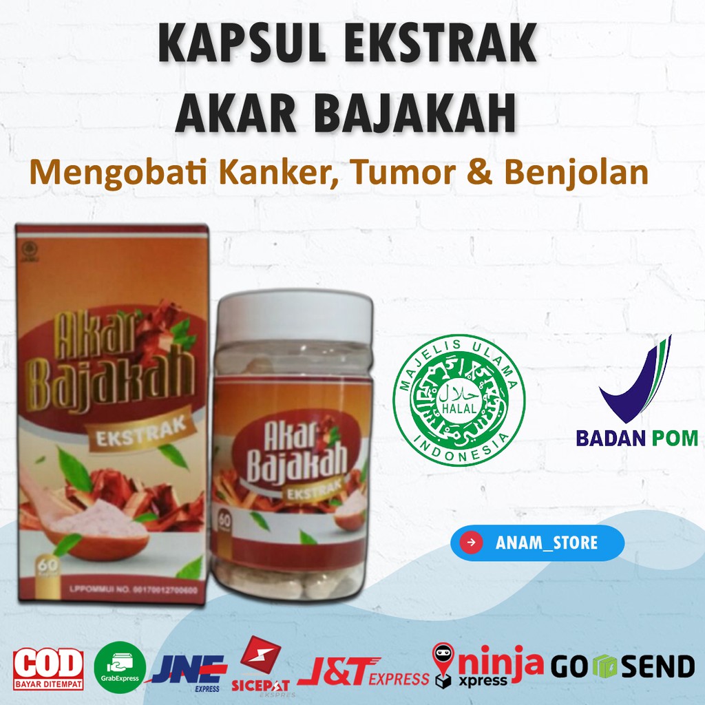 Jual Kapsul Ekstrak Akar Bajakah Isi 60 / Kapsul Bpom Asli Kalimantan ...