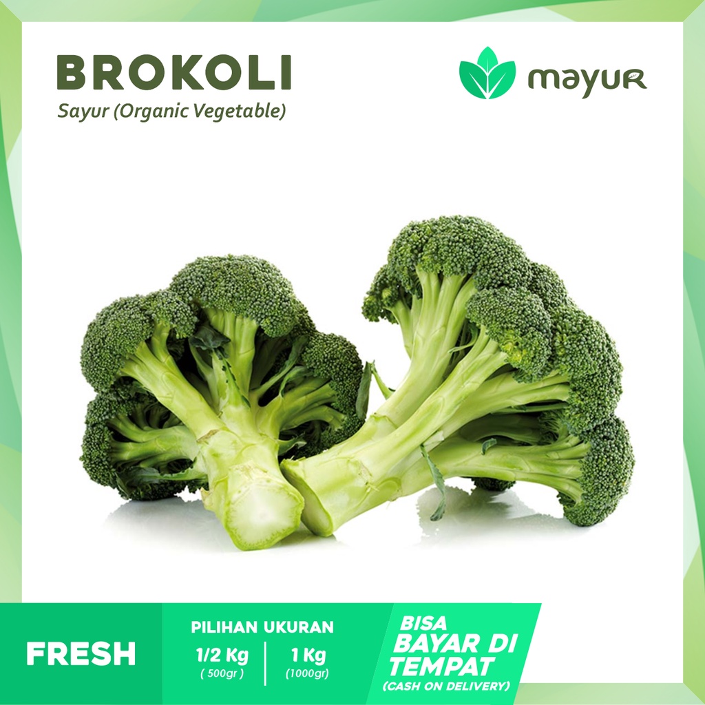 Jual Brokoli Segar ( 500gr | 1kg ) | Shopee Indonesia