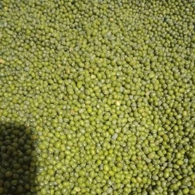 Jual TERMURAH!!! Kacang Hijau 250g, 500g, 1kg | Shopee Indonesia
