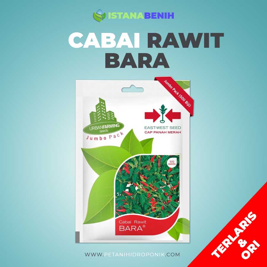 Jual BENIH CABE RAWIT BARA CAP PANAH MERAH ISI 50 BENIH URBAN FARMING ...