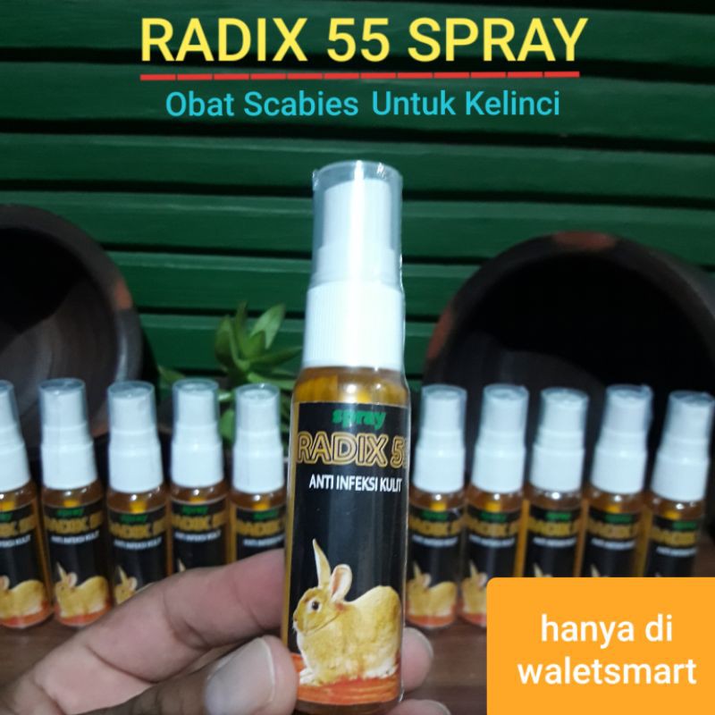 Jual RADIX 55 SPRAY Obat Scabies Anti Infeksi Kulit pada Kelinci ...