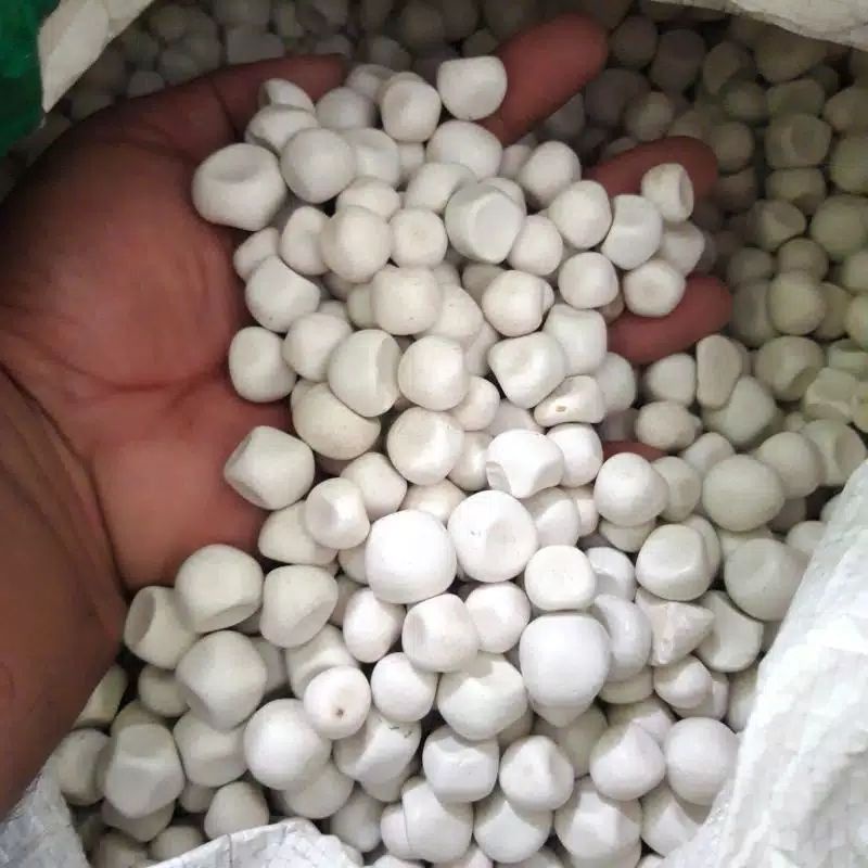 Jual BATU ALAM TIDAR ANTI PECAH BENTUK TIDAK RATA | Shopee Indonesia