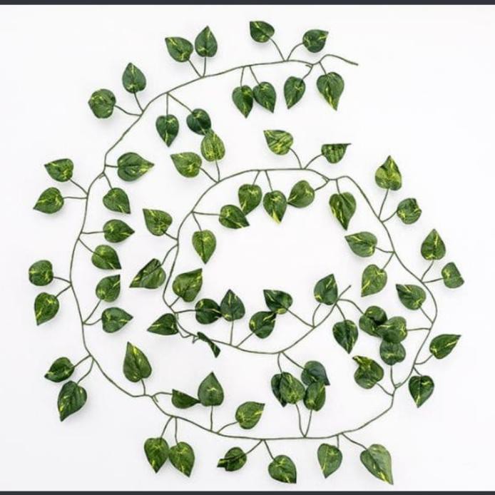 Jual Daun Rambat Plastik /Daun Rambat Ubi Jalar / Daun Rambat - Bulat ...