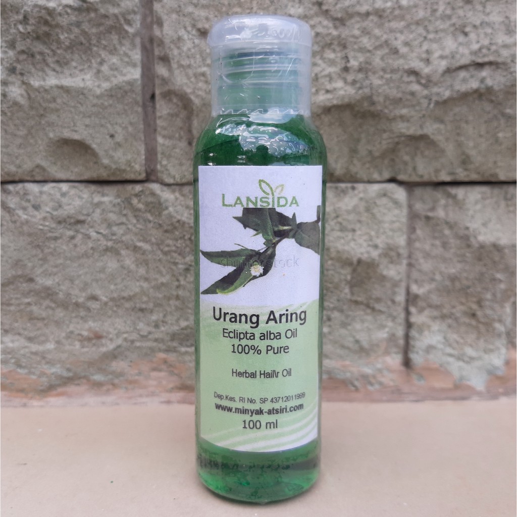 Jual Minyak Urang Aring Murni 100 ml Eclipta Alba 100% Pure Natural ...