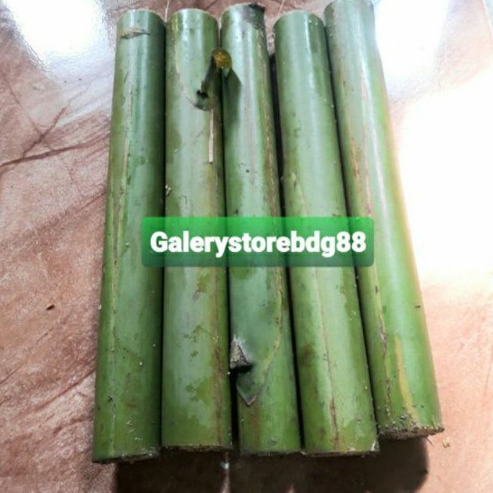 Jual Batang kecombrang atau honje segar 500 gram | Shopee Indonesia