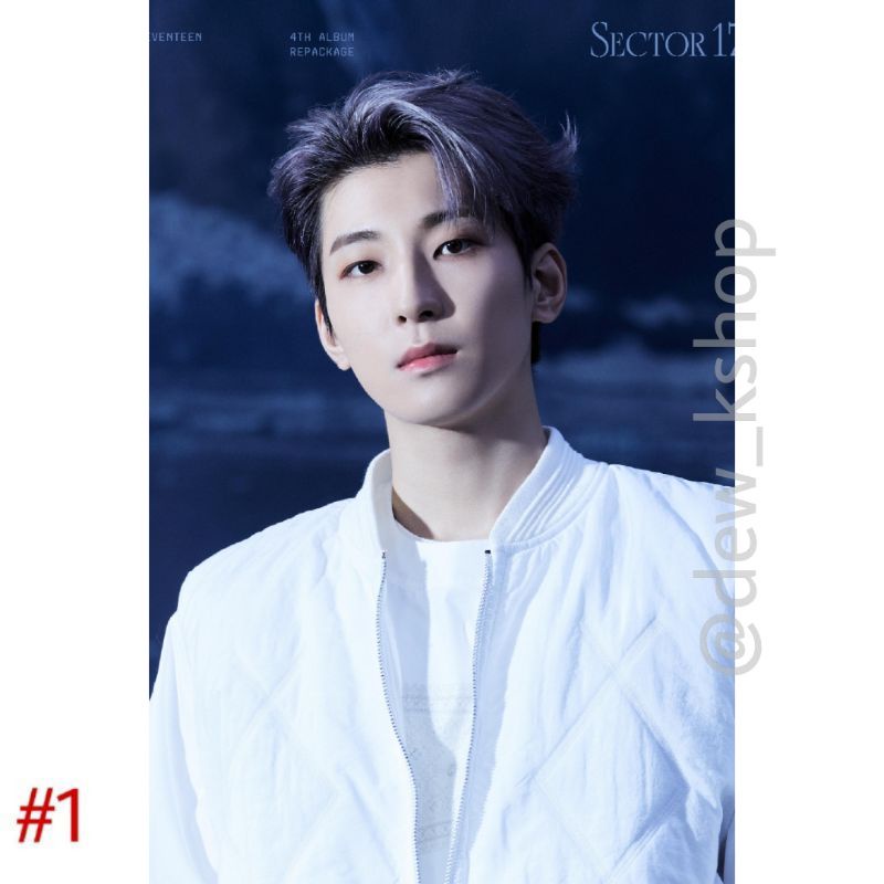 Jual POSTER SEVENTEEN (WONWOO) - ‘SECTOR 17’ | Shopee Indonesia