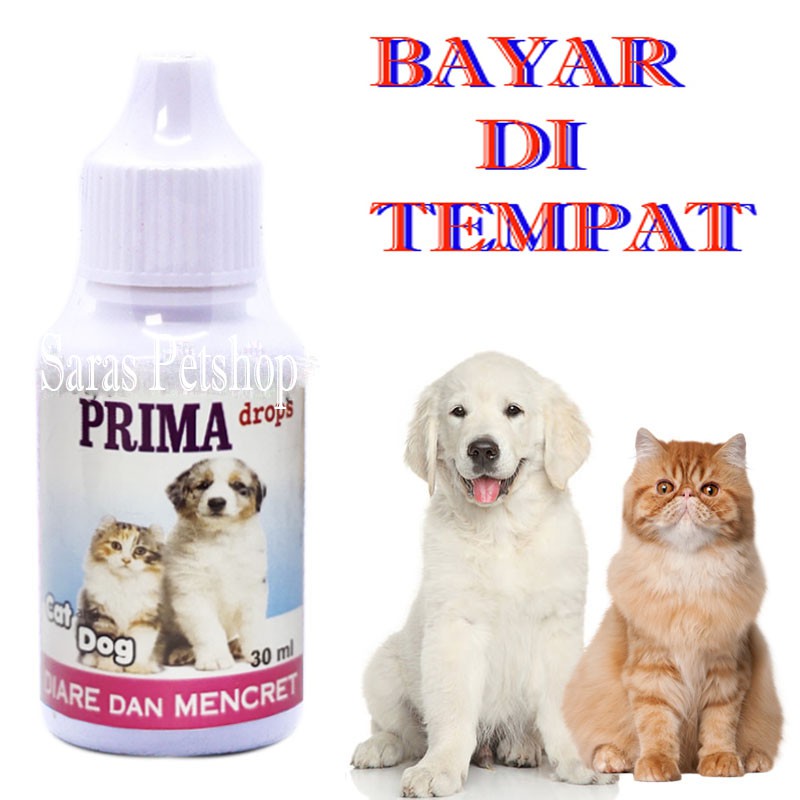 Jual OBAT KUCING ANJING MENCRET DIARE DEMAM PRIMA DROP | Shopee Indonesia
