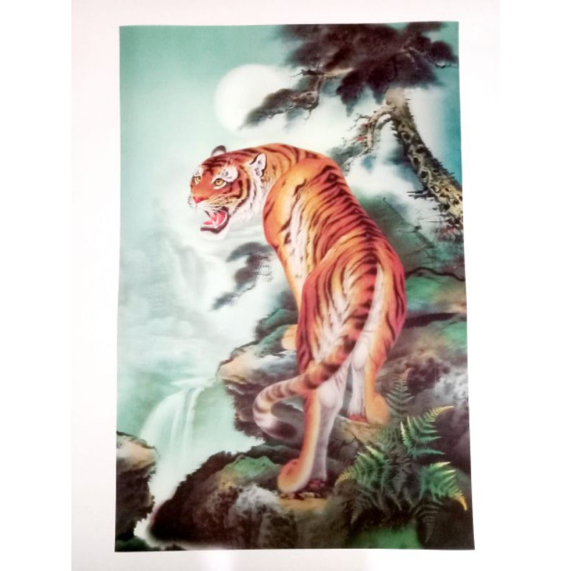 Jual POSTER HARIMAU 3 DIMENSI UKURAN 58X38 CM (terlihat hidup & nyata ...