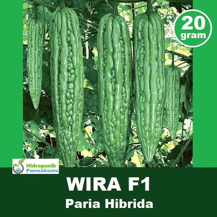 Jual Benih Paria Pare Hijau Wira F1 Cap Mutiara Bumi Isi 20 Gram ...