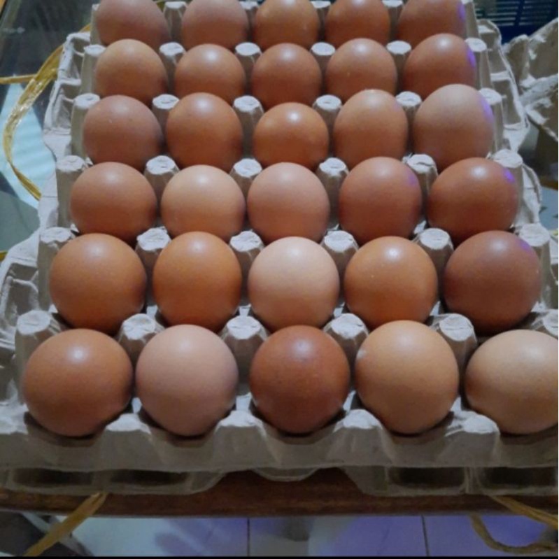 Jual Telur ayam Eropa eropah Ternak sendiri produk baru Grade A ...