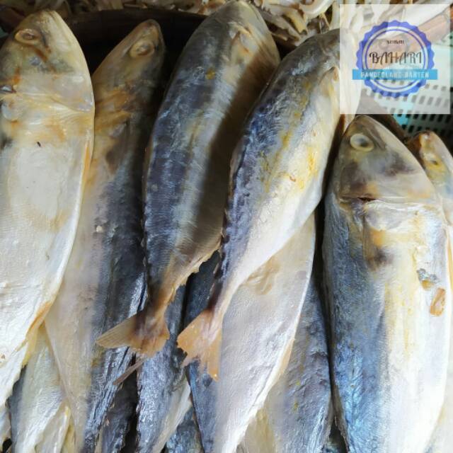 Jual Ikan Peda / Ikan Asin Peda / Peda Putih / Ikan Asin Banyar kemasan 1 Kg | Shopee Indonesia