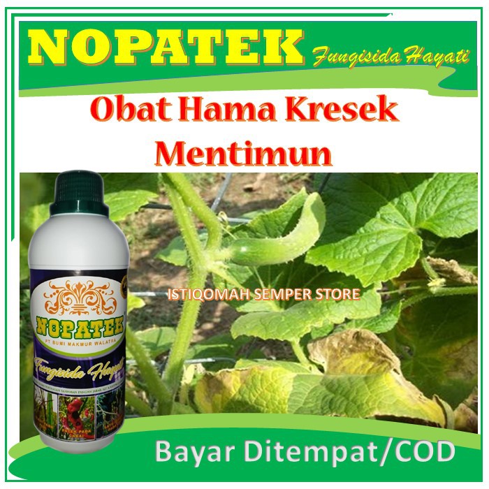 Jual Obat Hama Organik NOPATEK Fungisida Hayati Mampu Mengatasi KRESEK ...