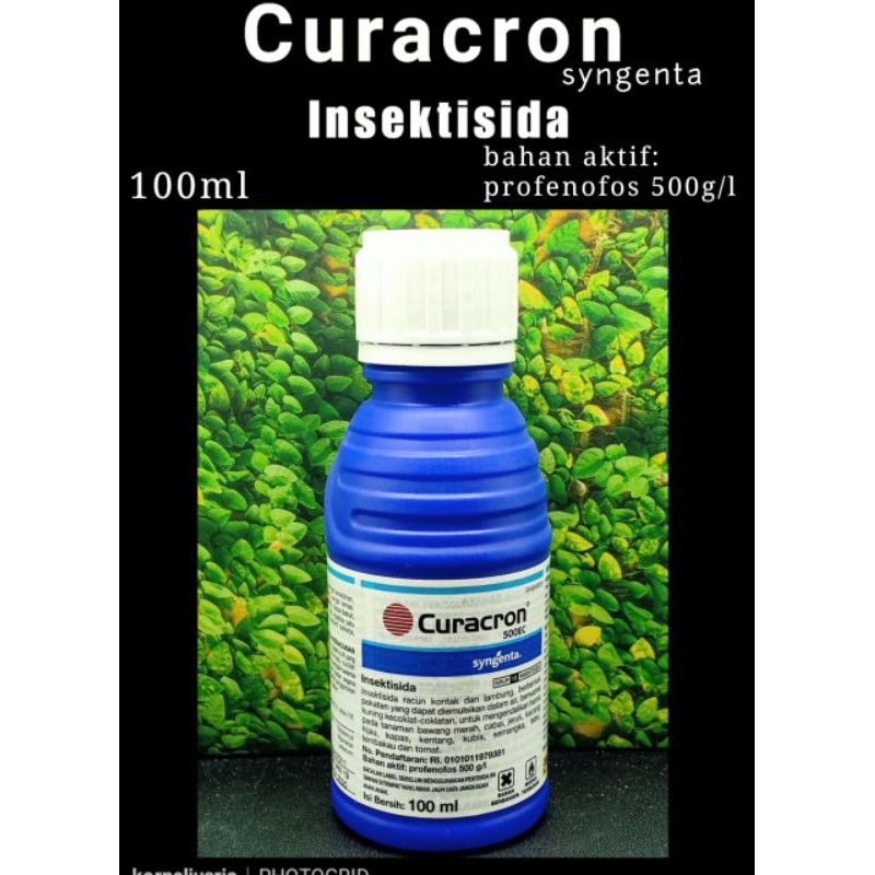 Jual RACUN HAMA CURACRON 100ML INSEKTISIDA PROFENOFOS RACUN HAMA ...