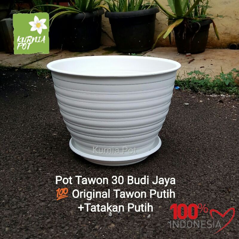 Jual Pot Bunga Tanaman Tawon 30 BJ Putih Original + Tatakan | Shopee ...