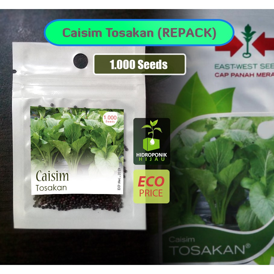 Jual Benih Caisim Tosakan (REPACK 1000 SEEDS) | Shopee Indonesia