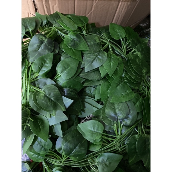 Jual Daun kecil Garlan latek (1lusin) | Shopee Indonesia