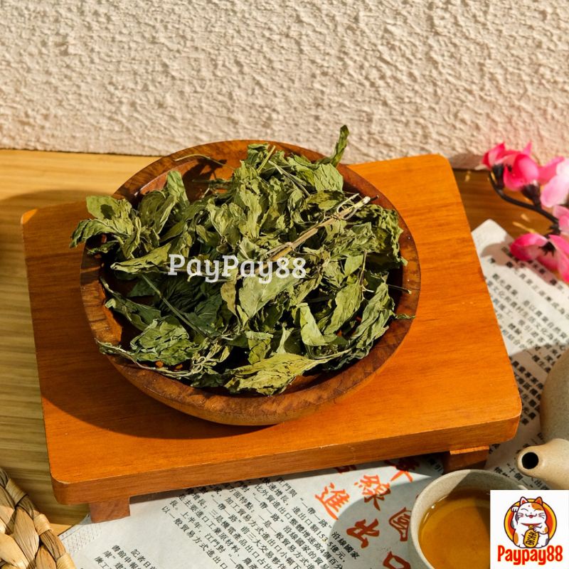 Jual DAUN MINT KERING PREMIUM ASLI / MENTHOL / MINT LEAF / PAPERMINT ...