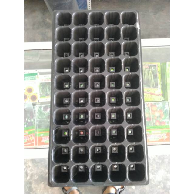 Jual Potray 5x10 atau tempat semai benih (3 pcs) | Shopee Indonesia