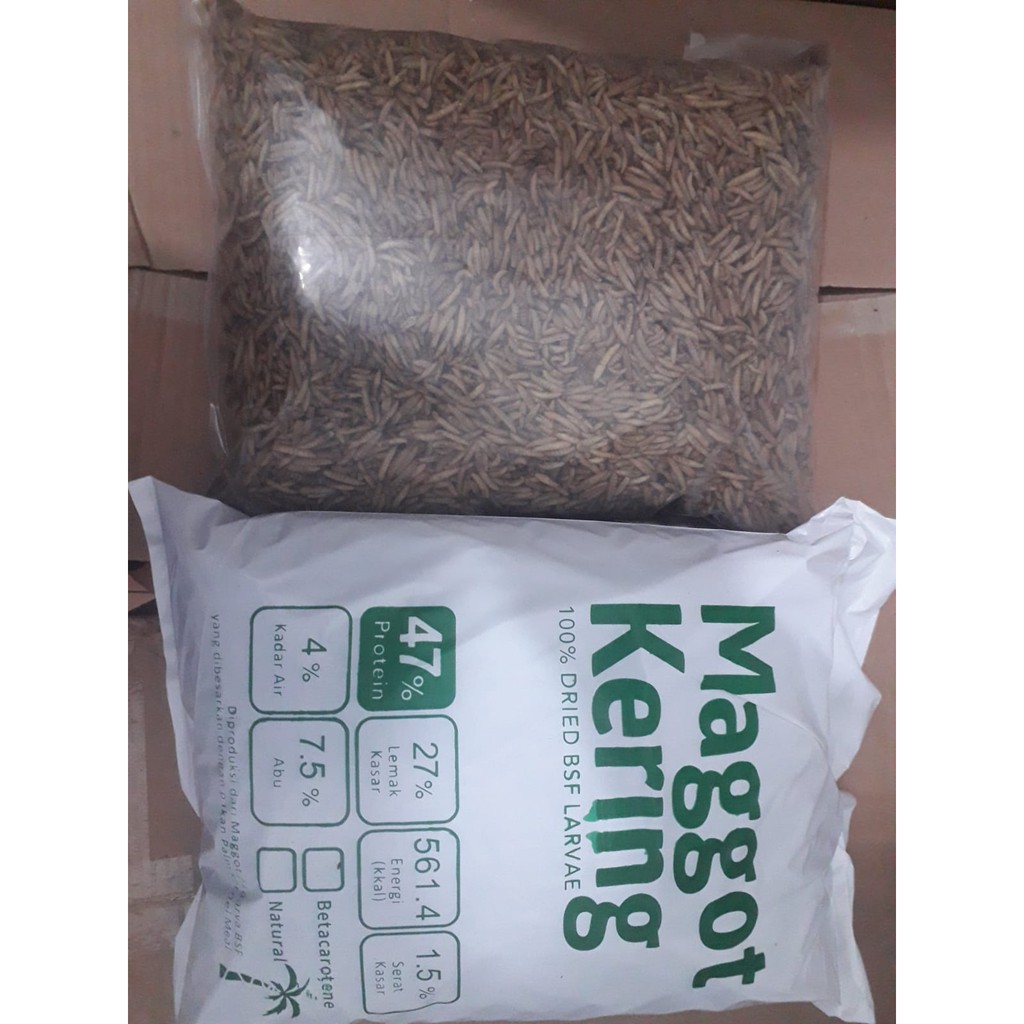 Jual Dry maggot Maggot kering [ GRADE A ] 1 KG Pakan Ikan Pakan Lohan ...