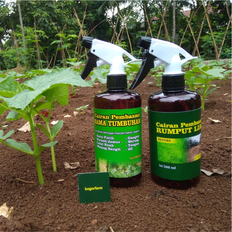 Jual (PAKET HEMAT) Racun Rumput | Racun Hama Tumbuhan | Kutu Putih ...