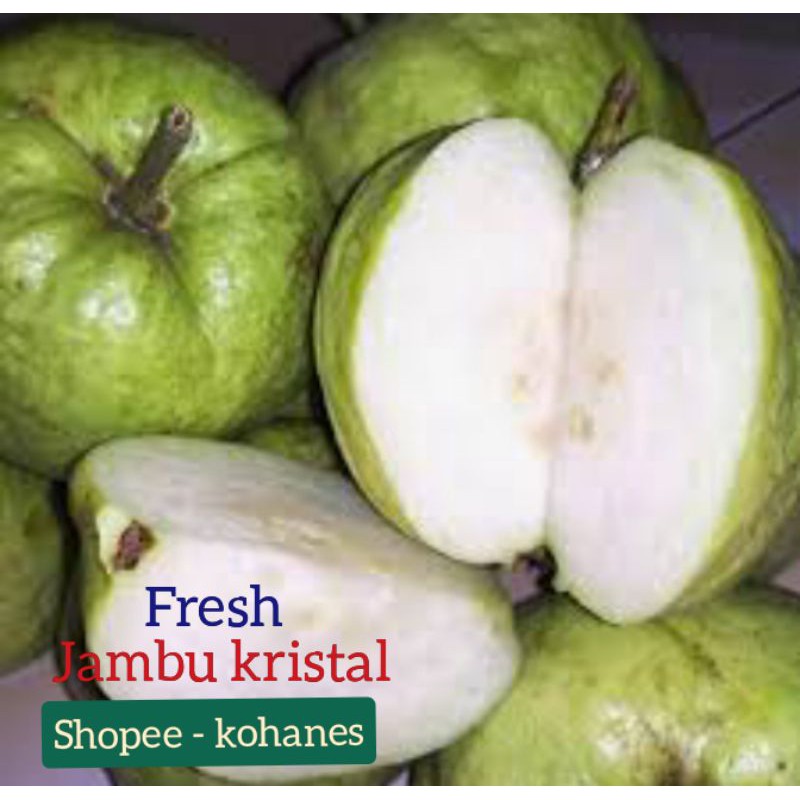 Jual JAMBU KRISTAL FRESH MANIS ( SUPER KUALITAS ) 1 KG | Shopee Indonesia