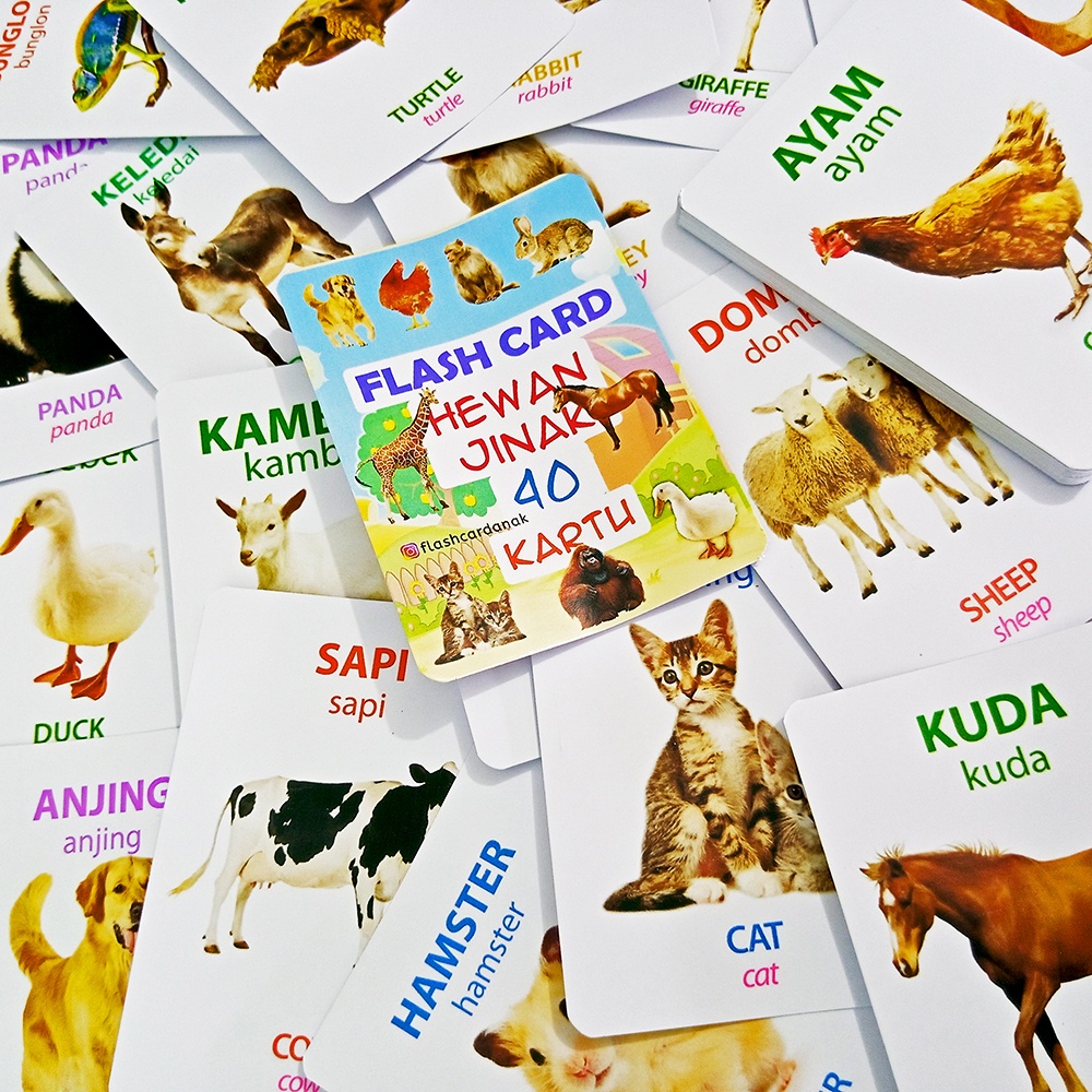 Jual Mainan Kartu Flash Card kartu Hewan Seri 1 (2 Bahasa Indonesia dan ...