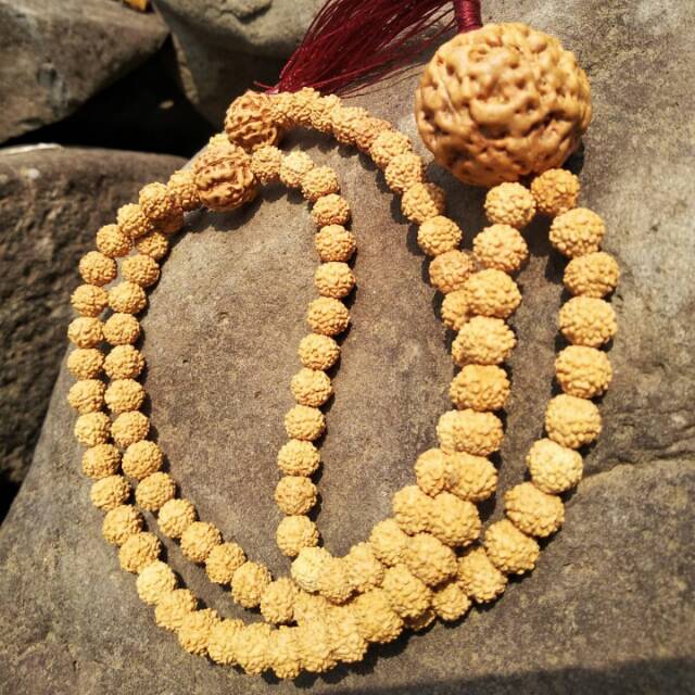 Jual Tasbih jenitri genitri original | Shopee Indonesia
