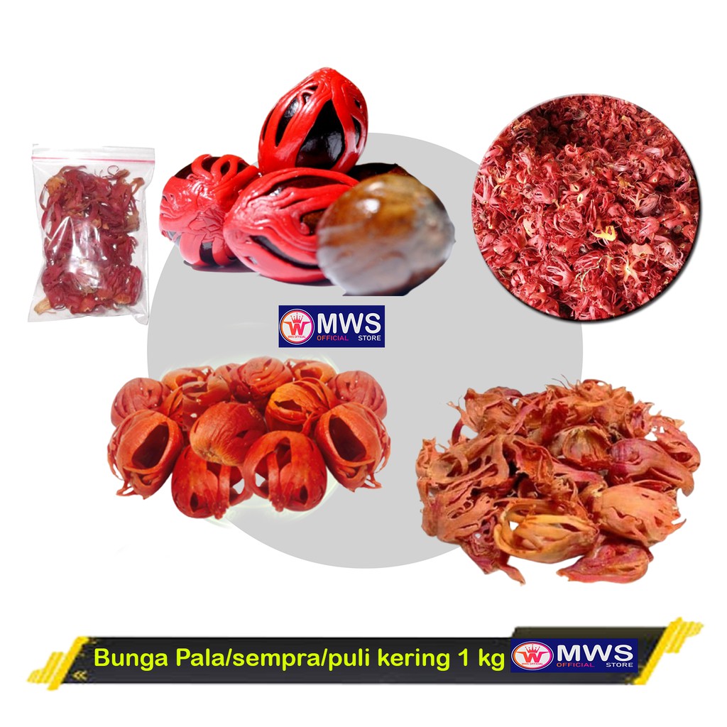 Jual Bunga Pala/sempra/puli kering 1 kg MWS OFFICIAL STORE | Shopee ...