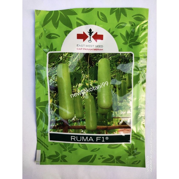 Jual ( 10 gram ) Benih labu air hibrida RUMA F1 10 gram benih labu siam ...