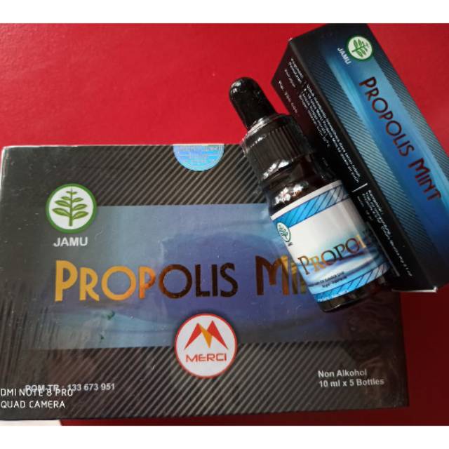 Jual (KEMASAN BARU) MERCI PROPOLIS MINT ORIGINAL BRAZILIAN STERN 1 BTL ...