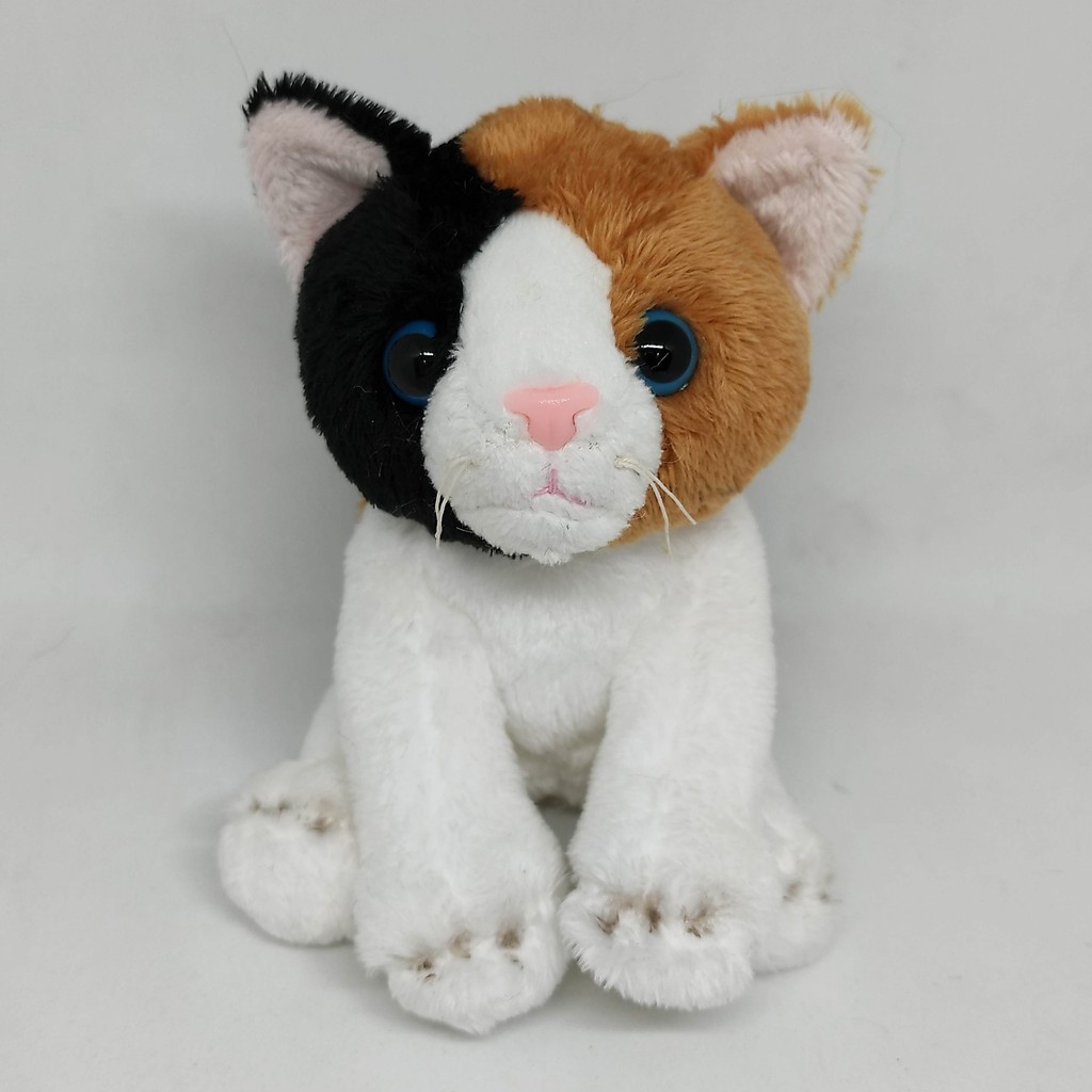 Jual Boneka Kucing/Gajah/Wombat/Anak Harimau/Rakun/Anjing Laut (XS ...